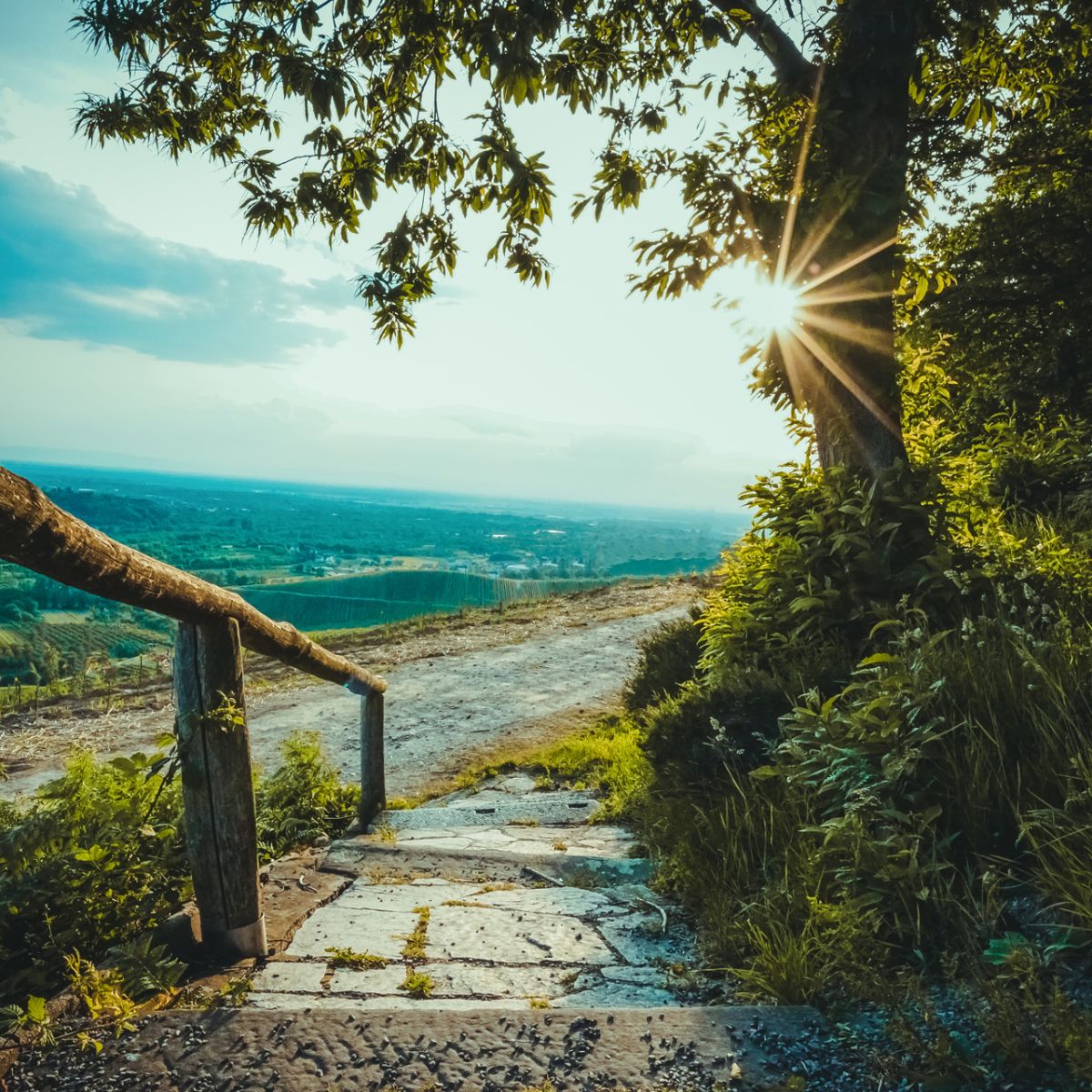 Kappelrodeck | Achertal & Region