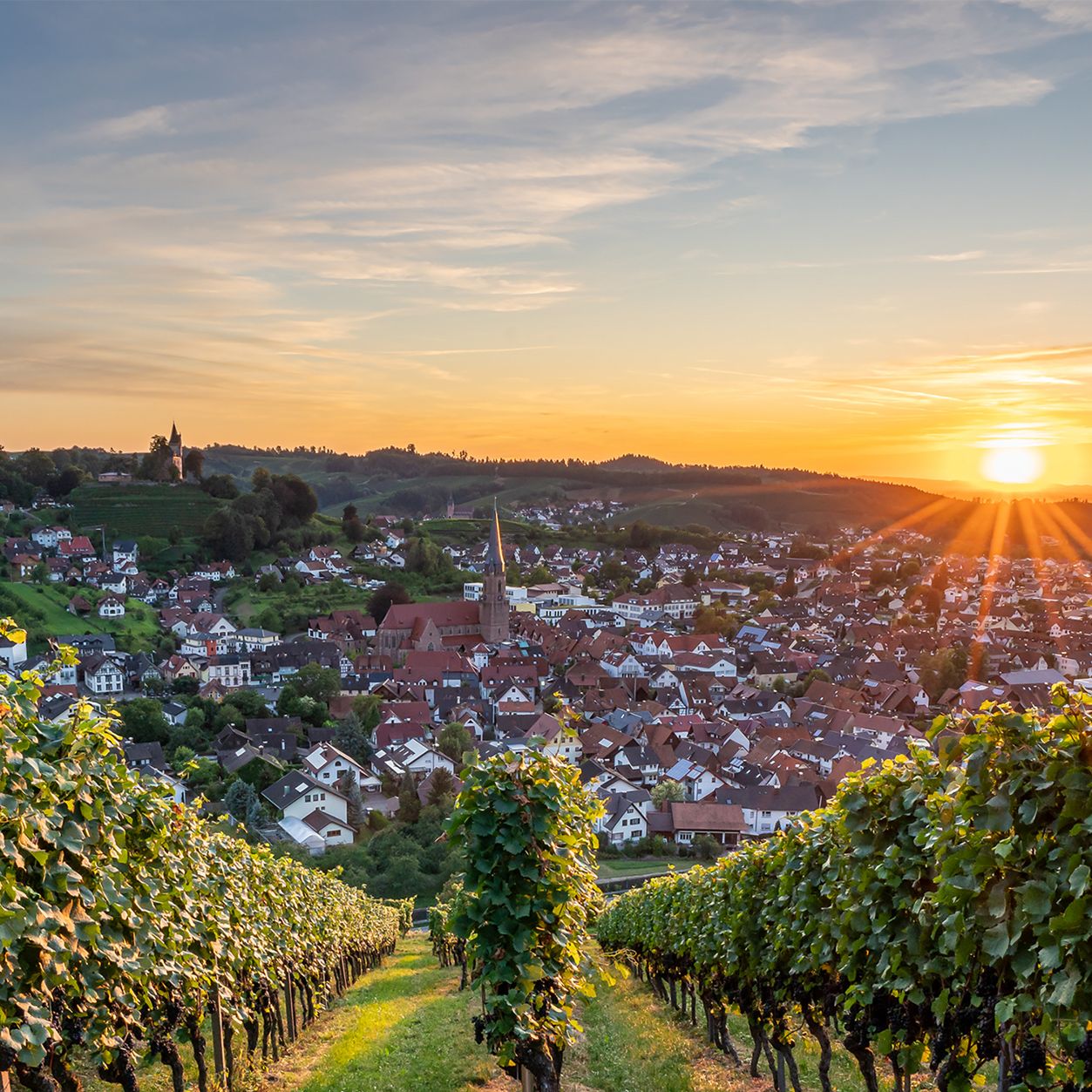 Kappelrodeck | Achertal & Region